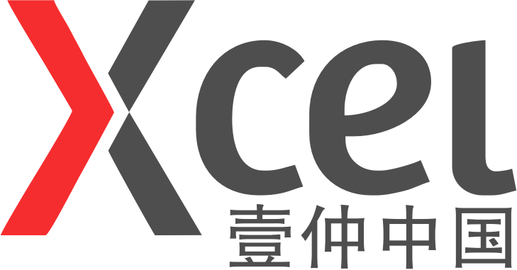 Leedarson | Strategy