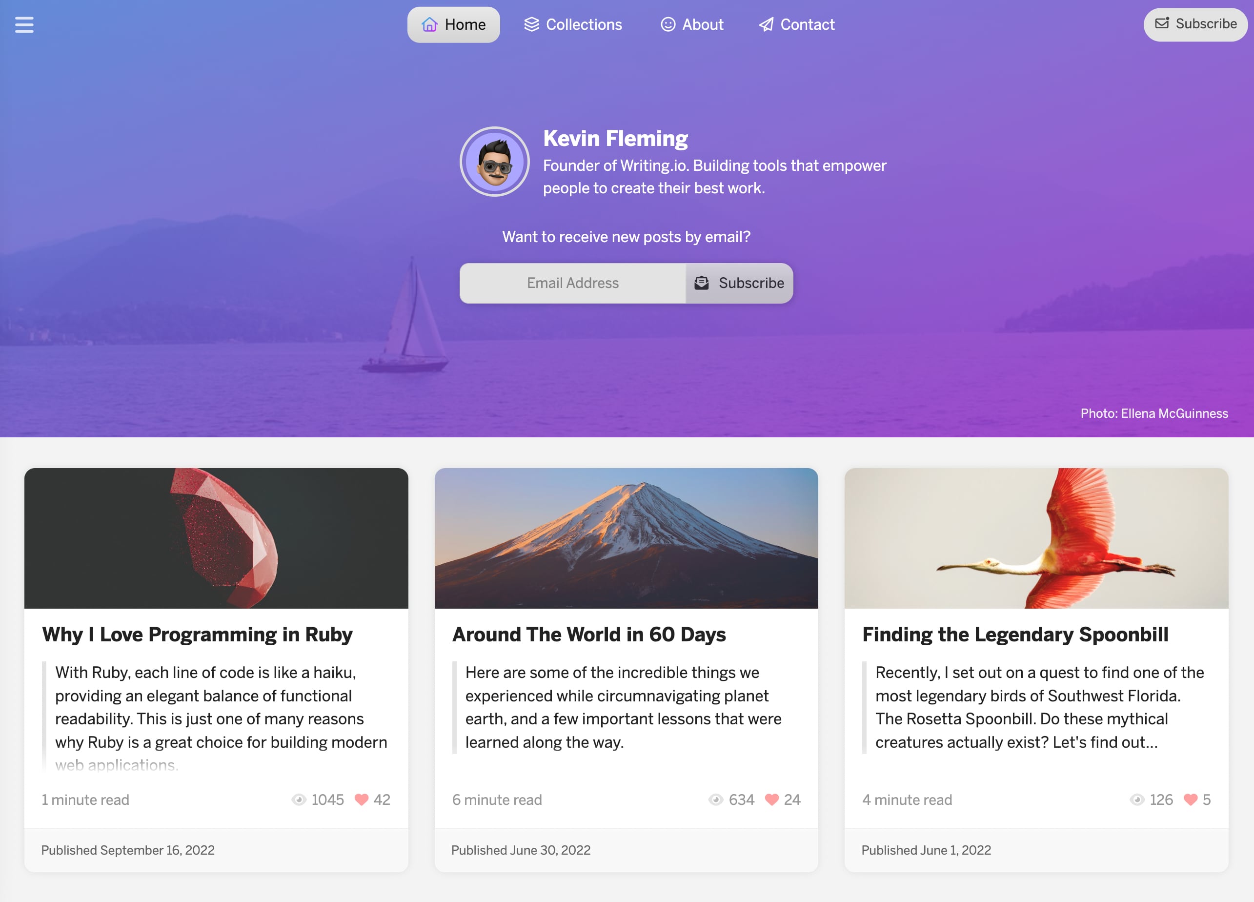 Professional Website