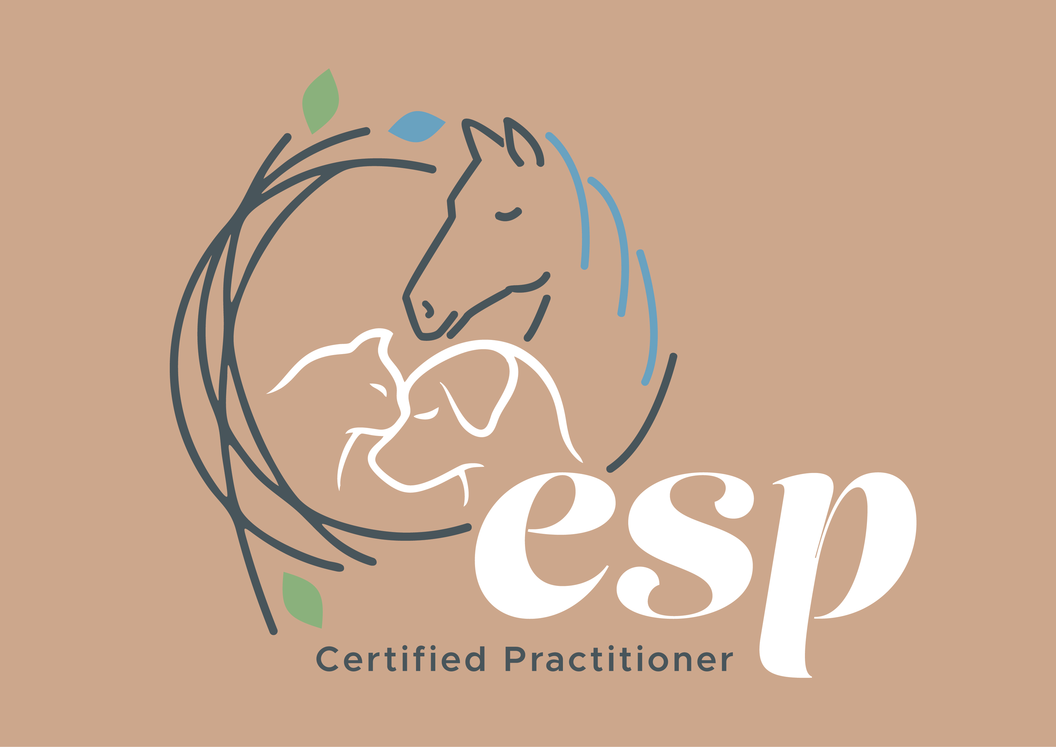 Equine Supported Programs - Kim
