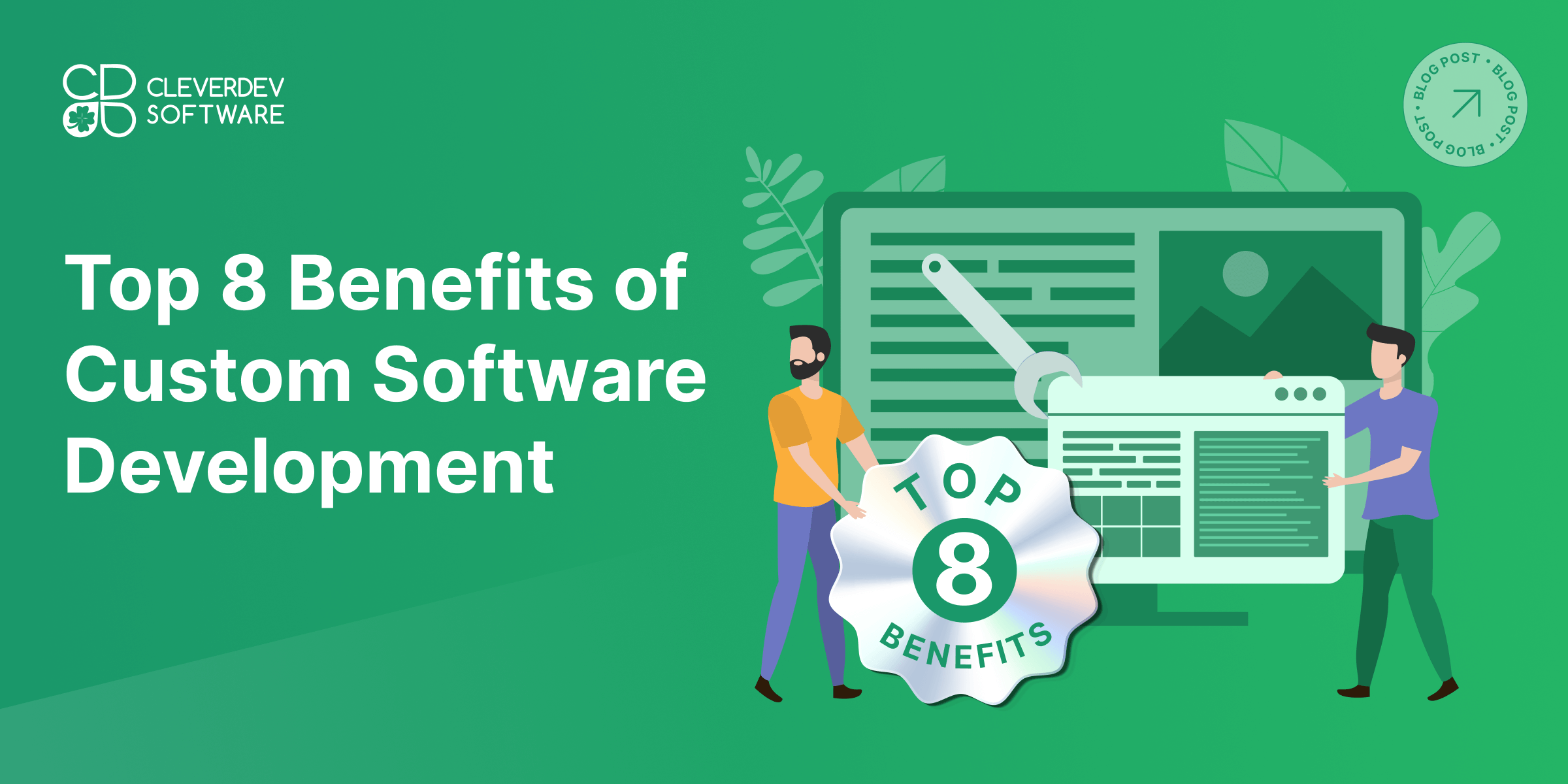 Custom Software Development: 8 Benefits | CleverDev Software Blog