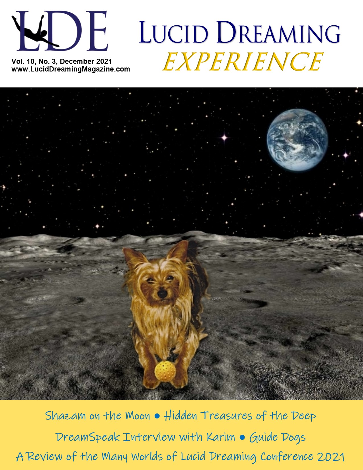 The Lucid Dreaming Experience