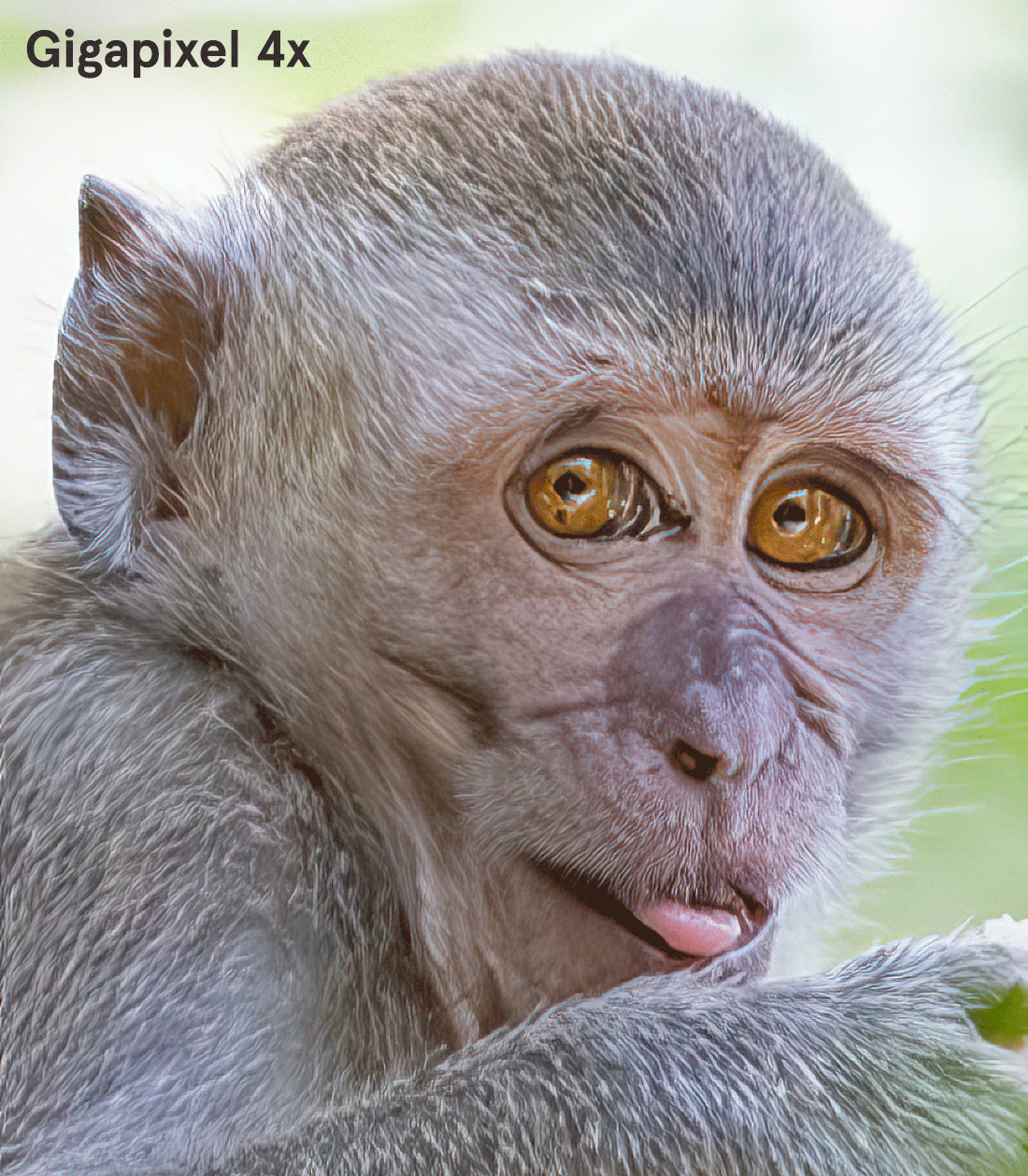 A guide to enlarging images while preserving quality