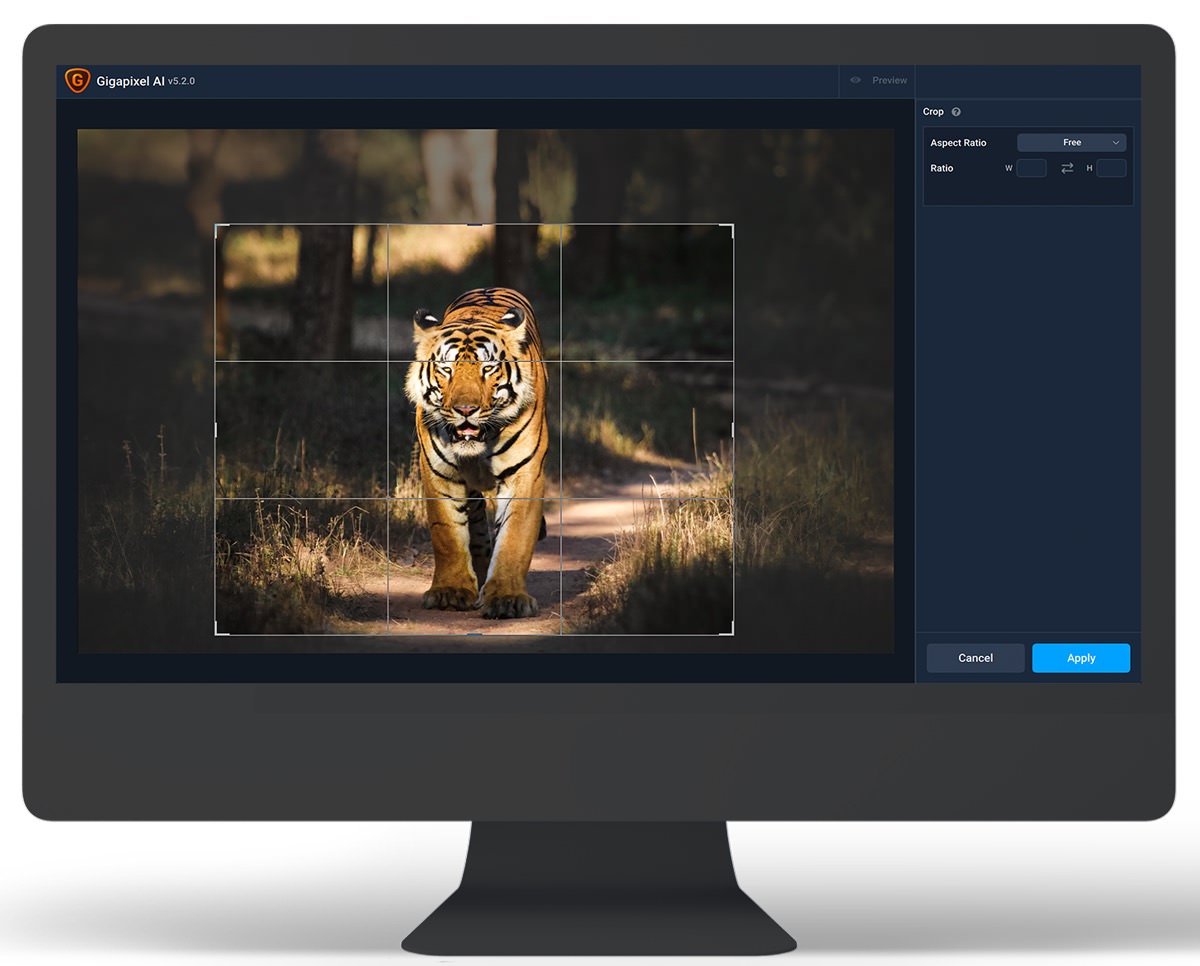 A guide to enlarging images while preserving quality