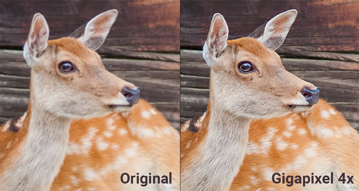 A guide to enlarging images while preserving quality