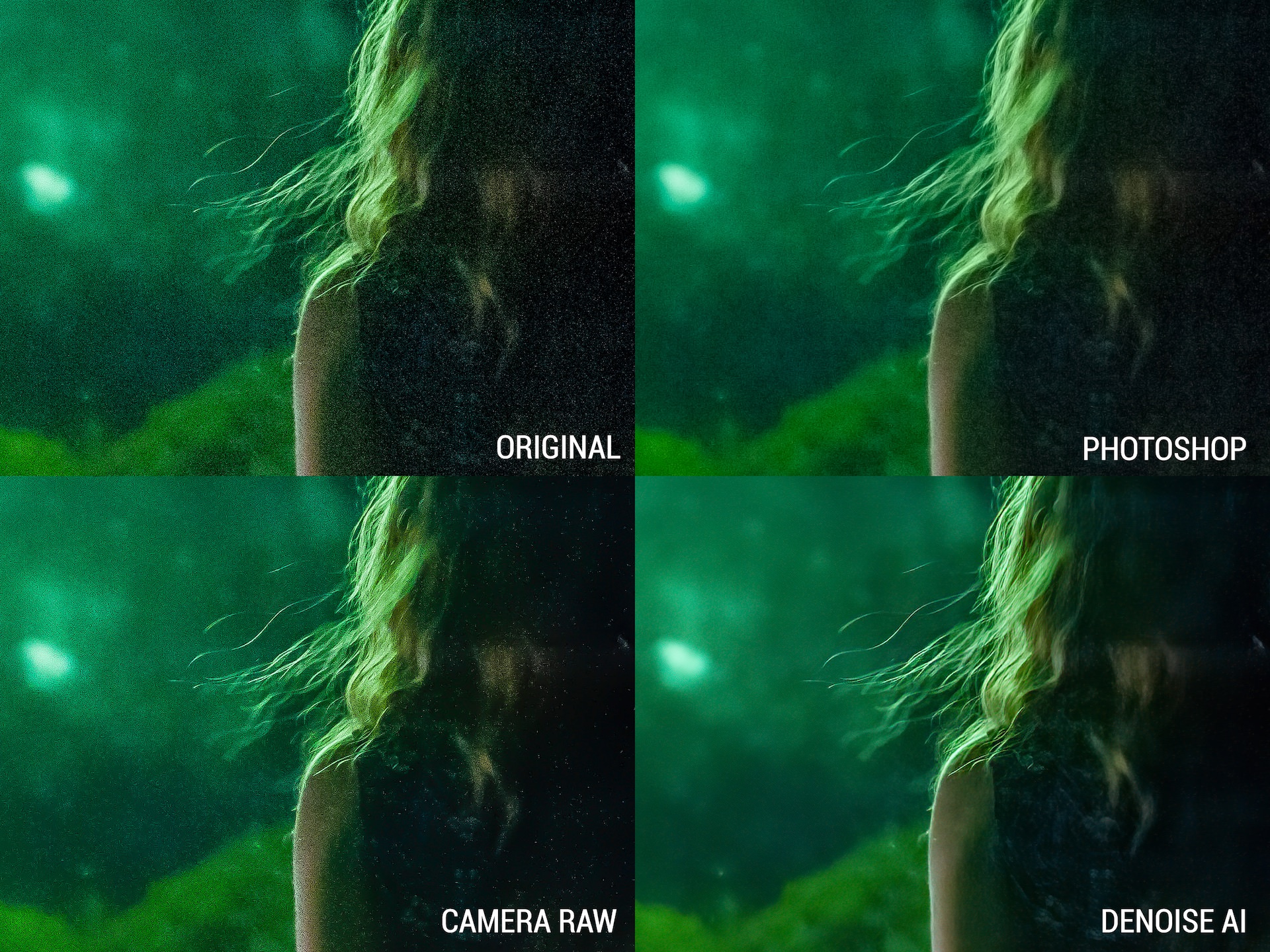 Comparing noise reduction software