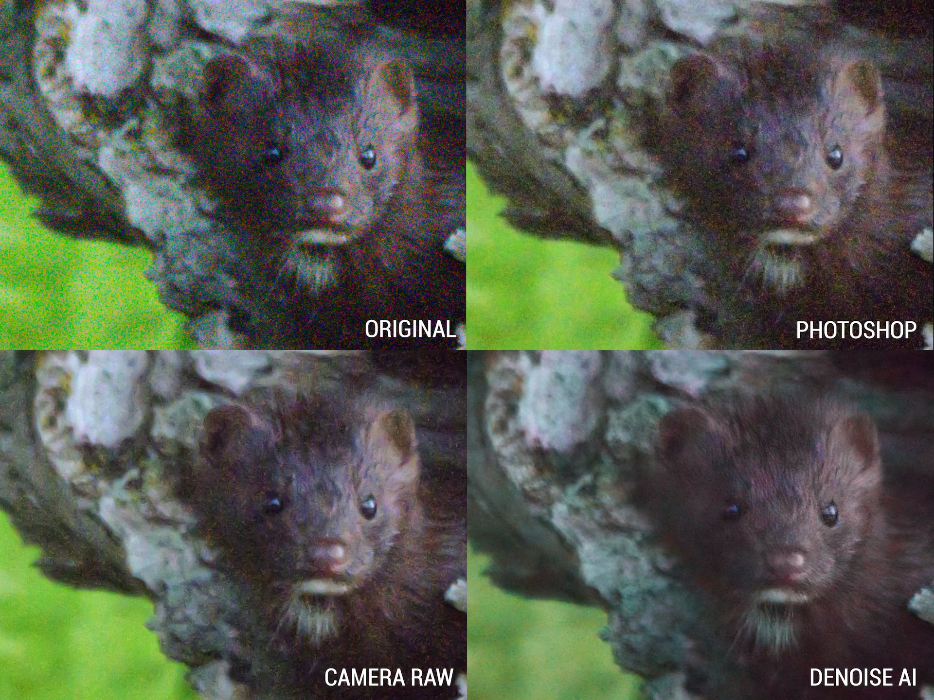 Comparing noise reduction software