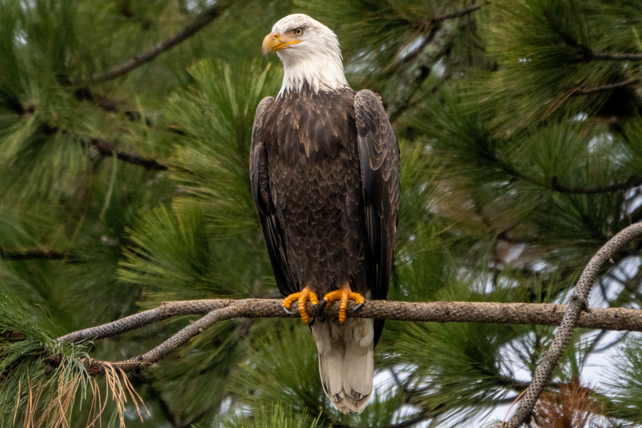 How To Master Low Light Photography: Settings, Tips and Best Practices