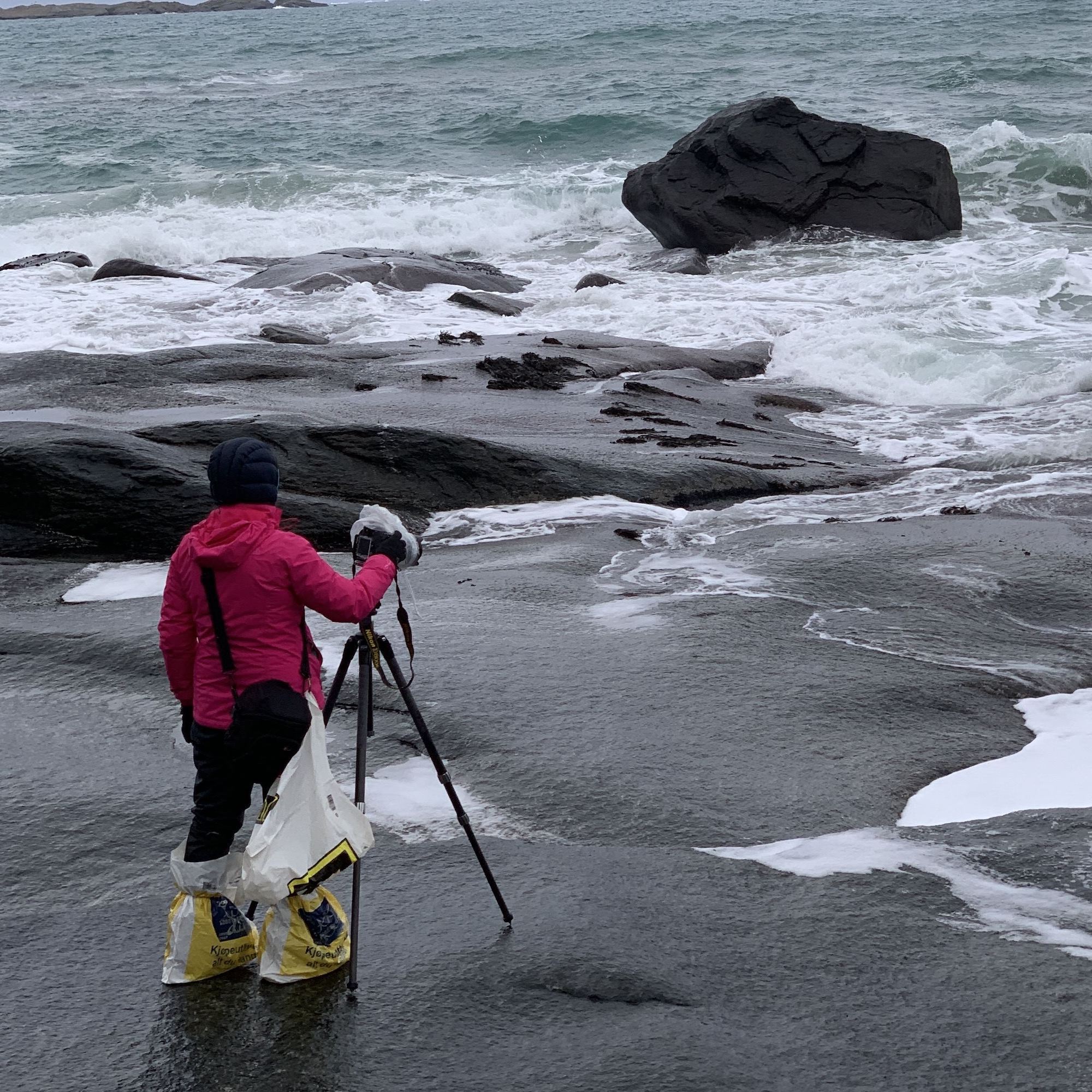 3 tips to get beautiful winter photos in cold weather