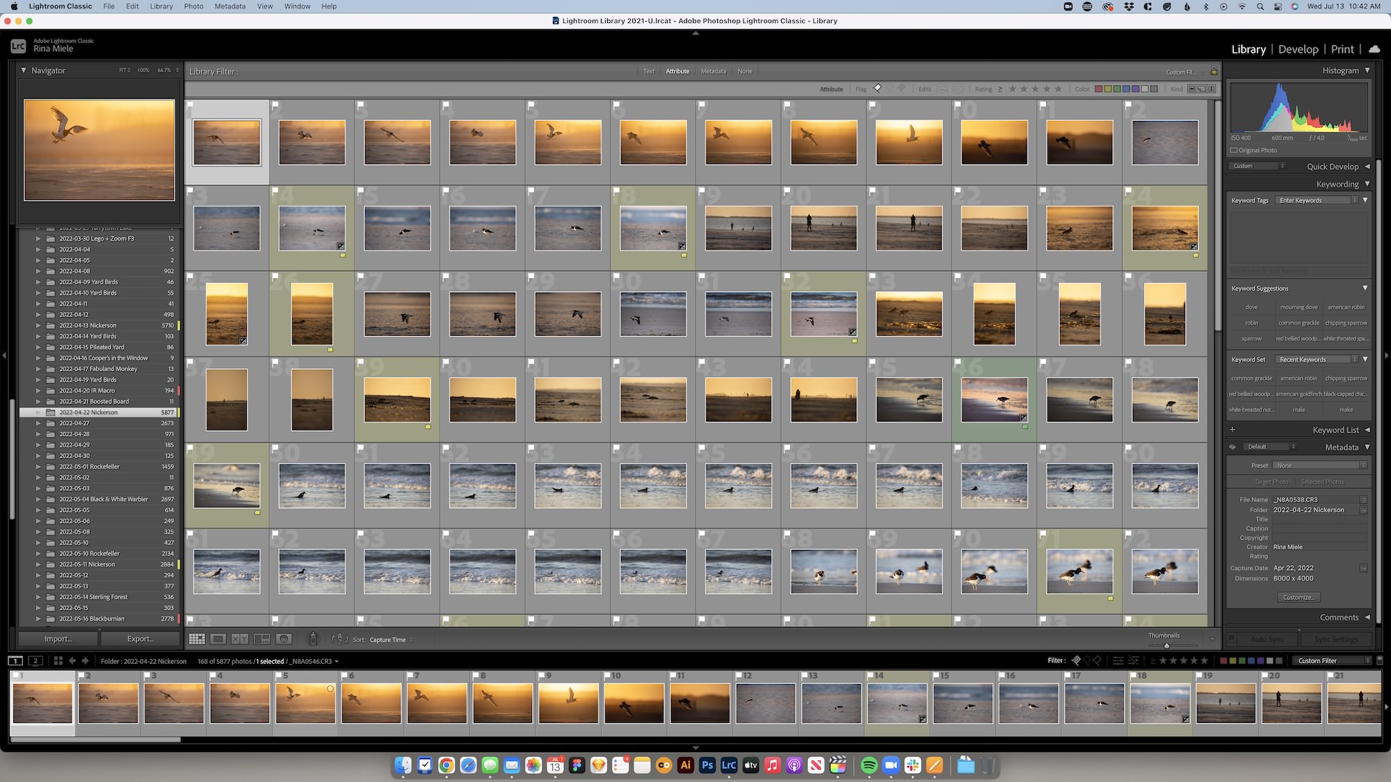 How backyard birding can improve your photography and workflow