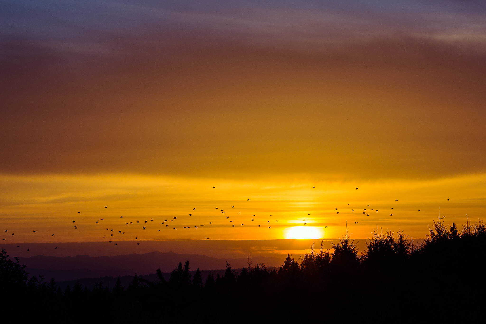 How to Take Sunset Pictures: Setup & Settings for Sunset Photography