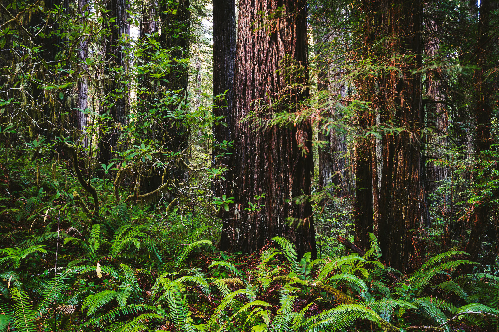 Photo Editing Guide: How to make your landscape photos look more natural