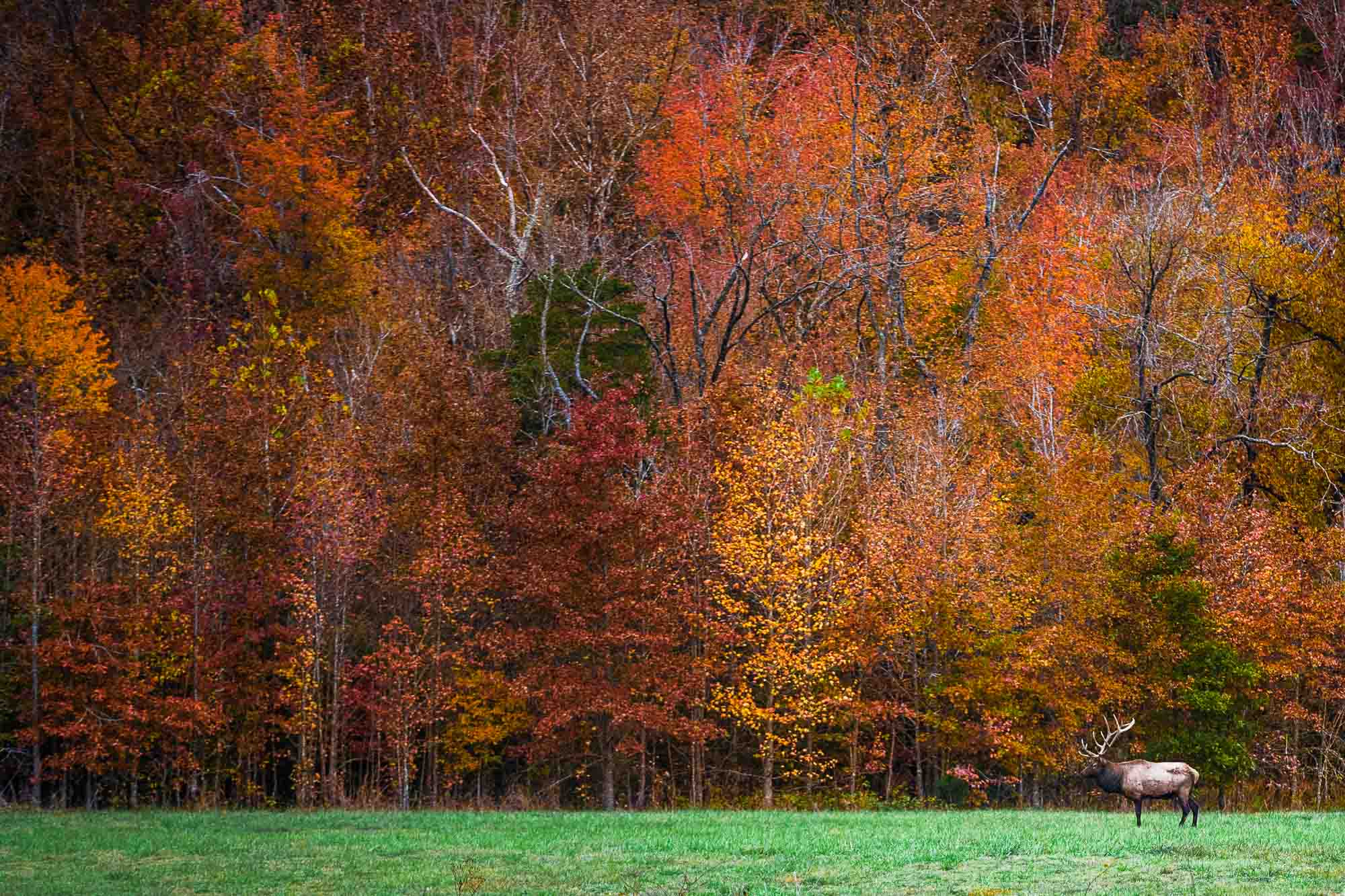 5 practical tips to getting beautiful Fall color photos