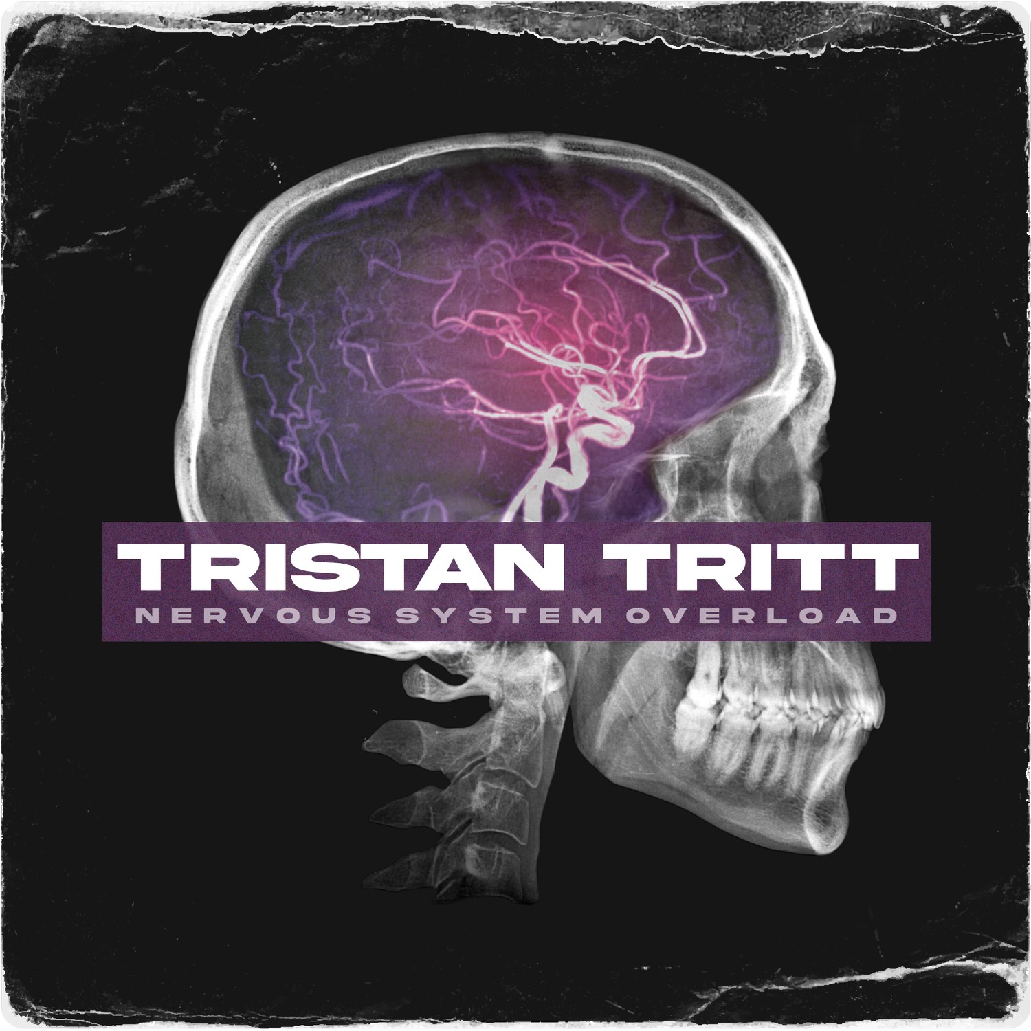 The Official Website of Tristan Tritt