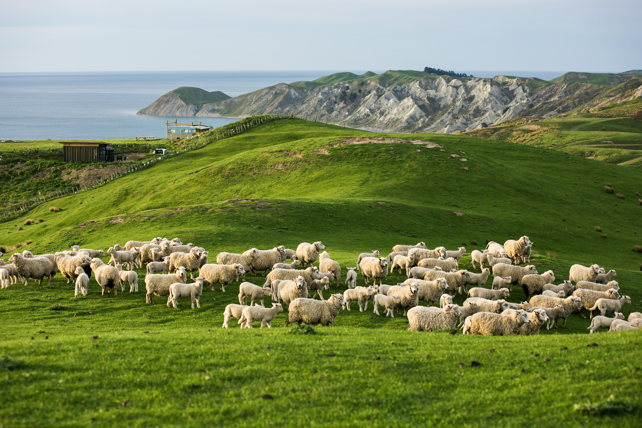 How Longevity is at the Core of the Ugg-Atkins Ranch Partnership