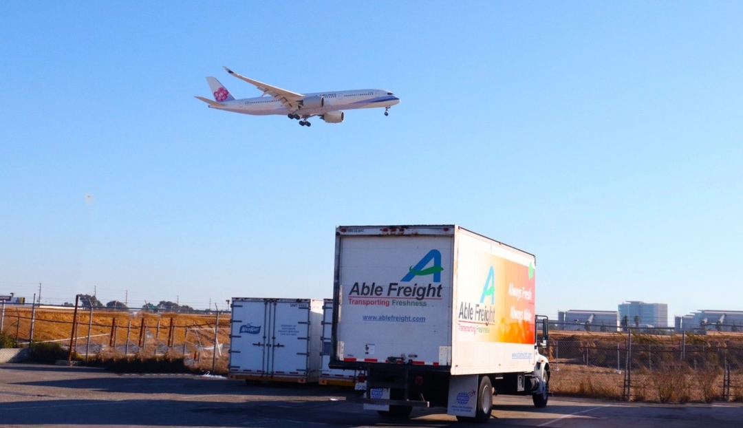 Commodites Transport | Temperature-Sensitive Cargo Logistics Company ...