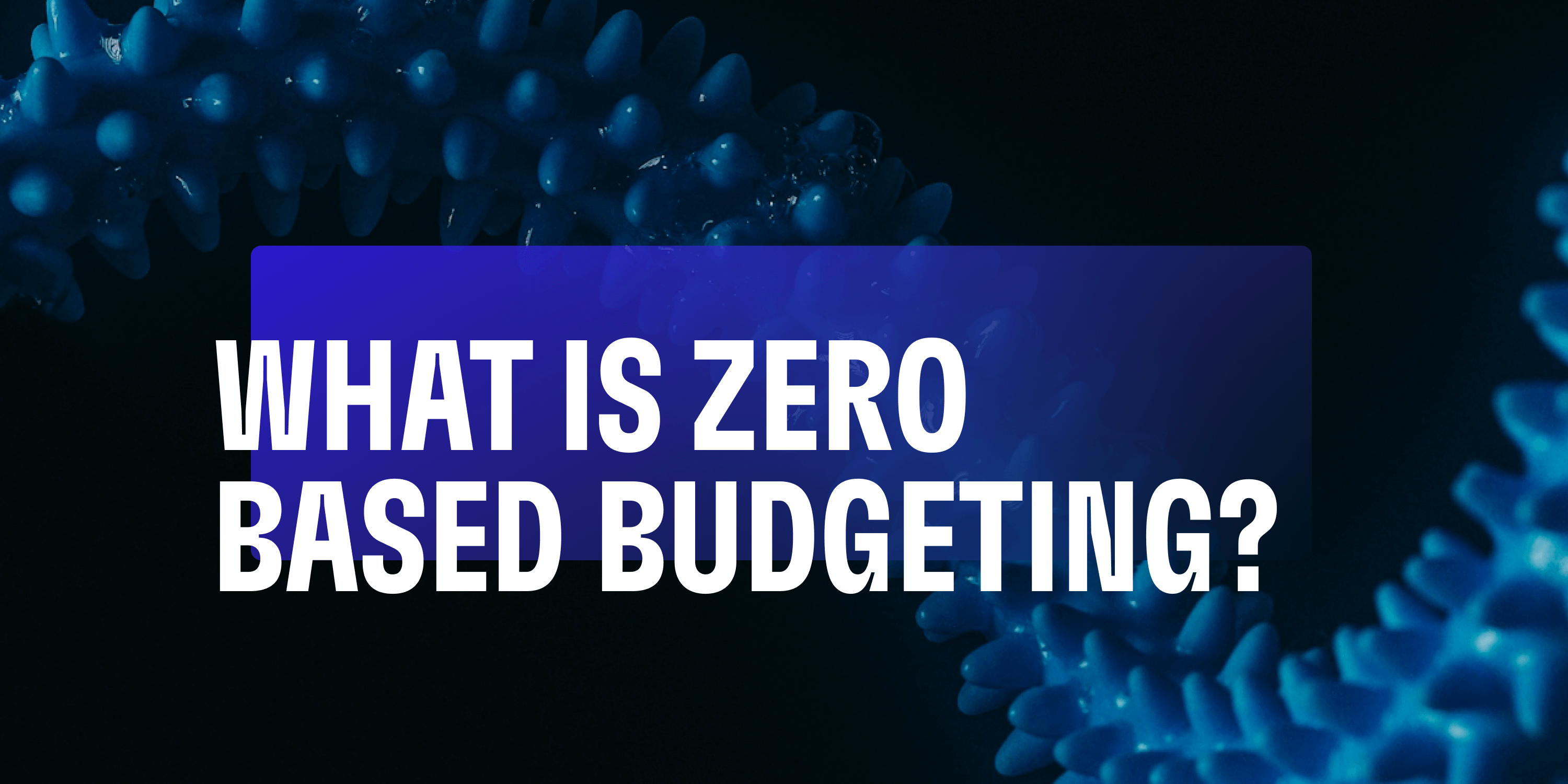 What Is Zero Based Budgeting? | Cleo