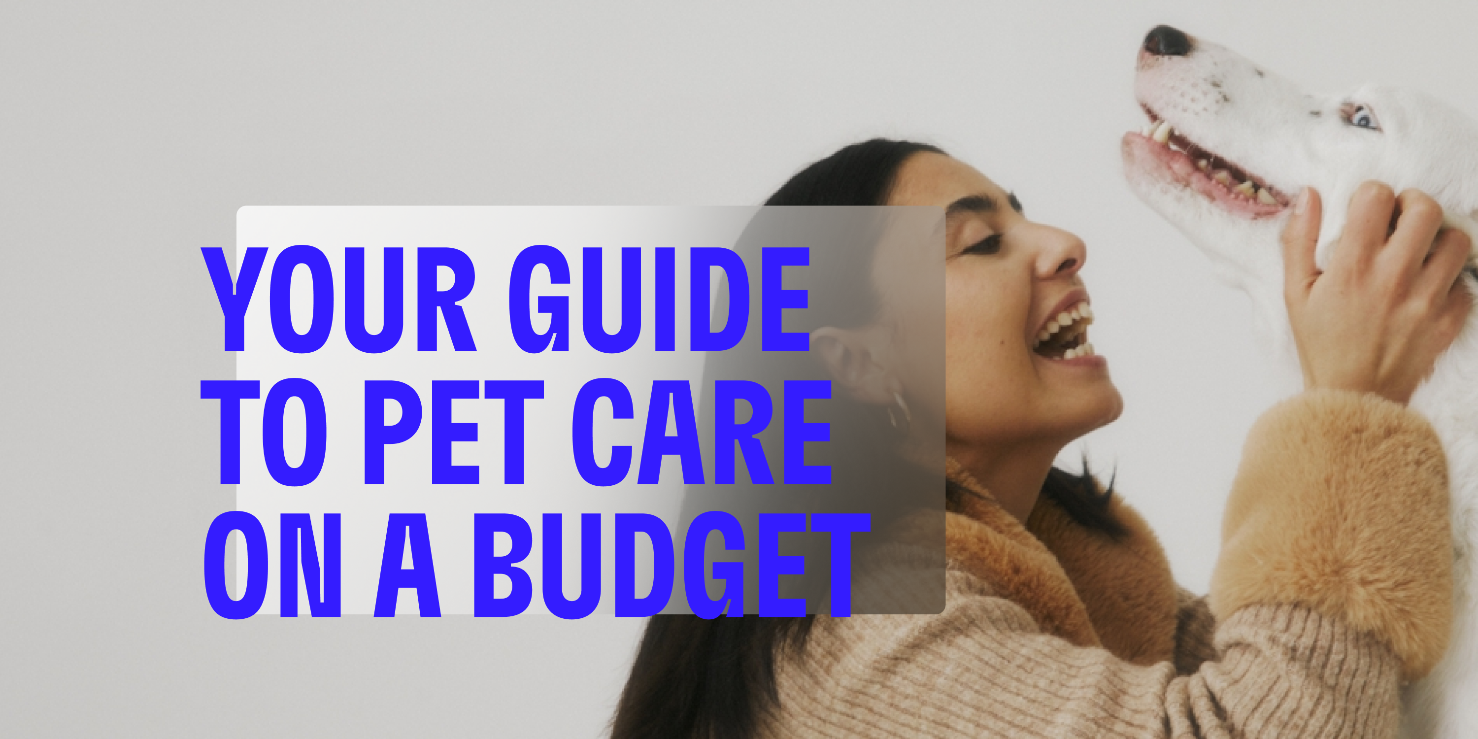 Your Guide to Pet Care on a Budget 🐾 | Cleo