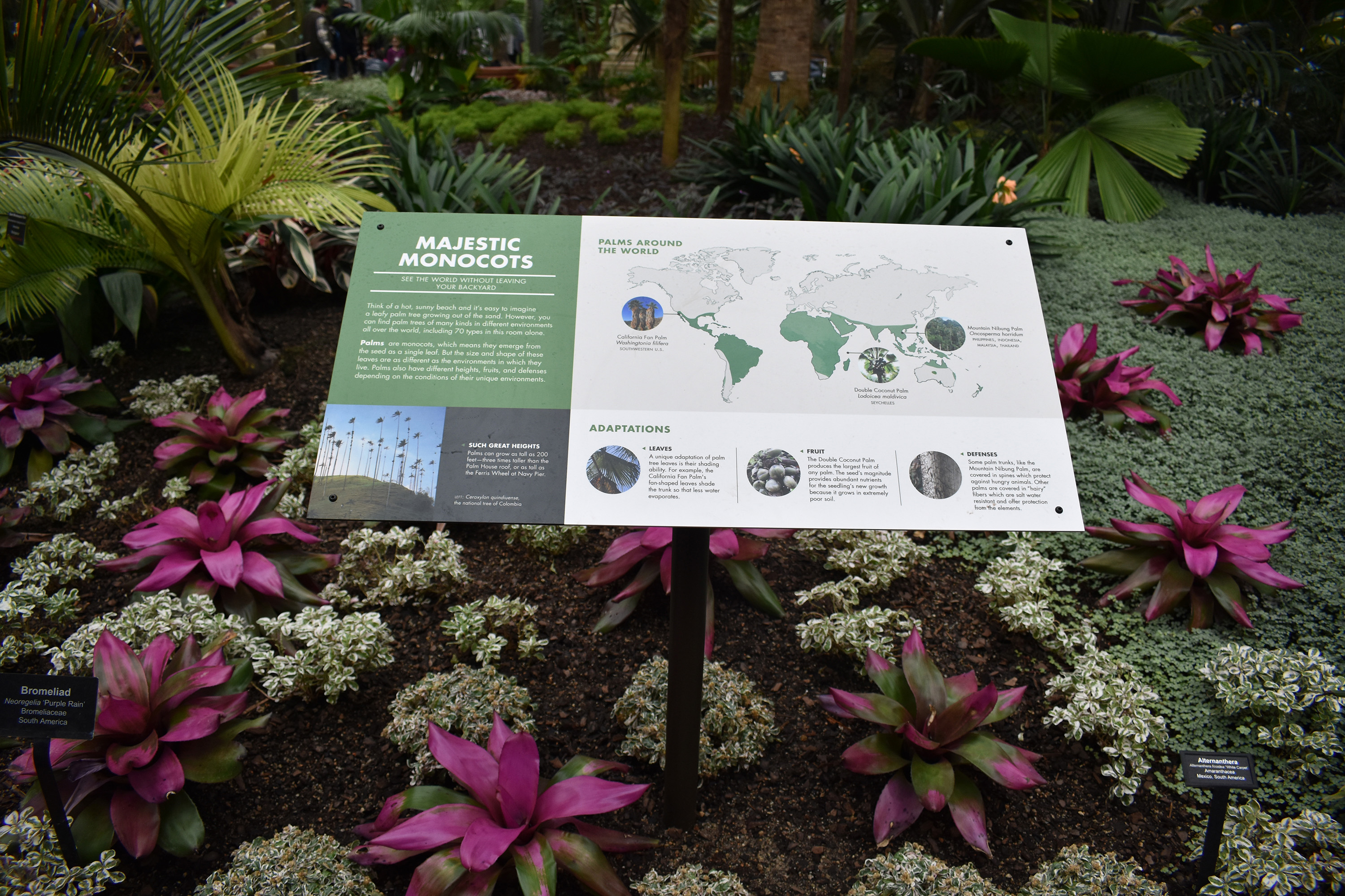 Garden Interpretive Graphics