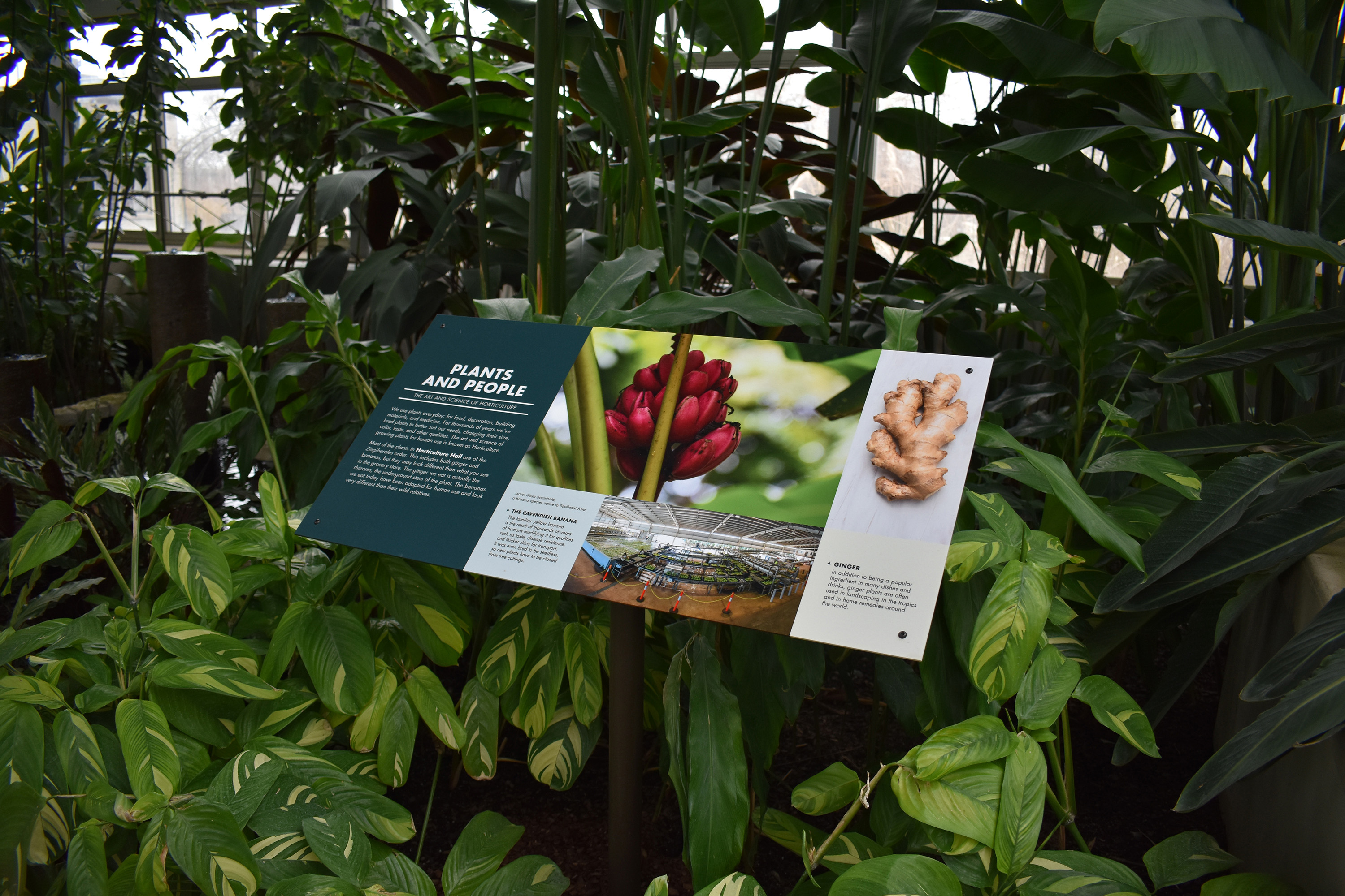 Garden Interpretive Graphics