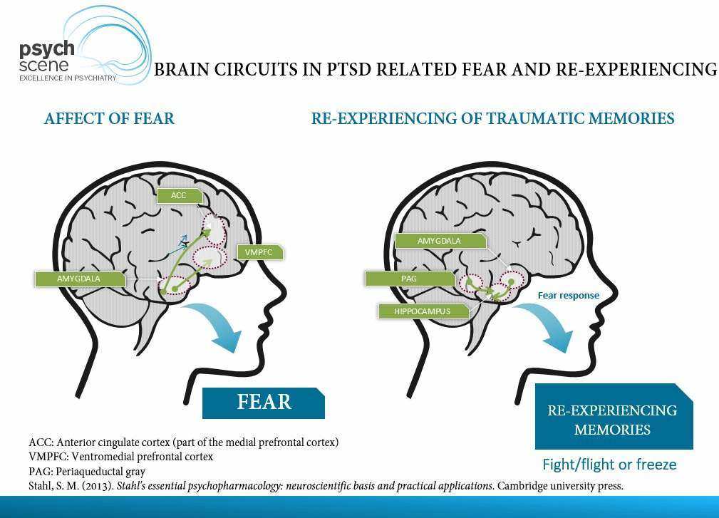 Understanding PTSD: What Is It, and How Do We Recover?