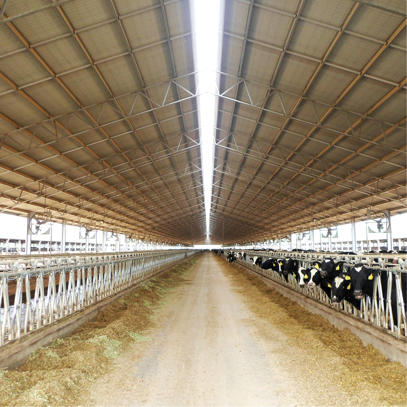 Agricultural - Cook & Roe