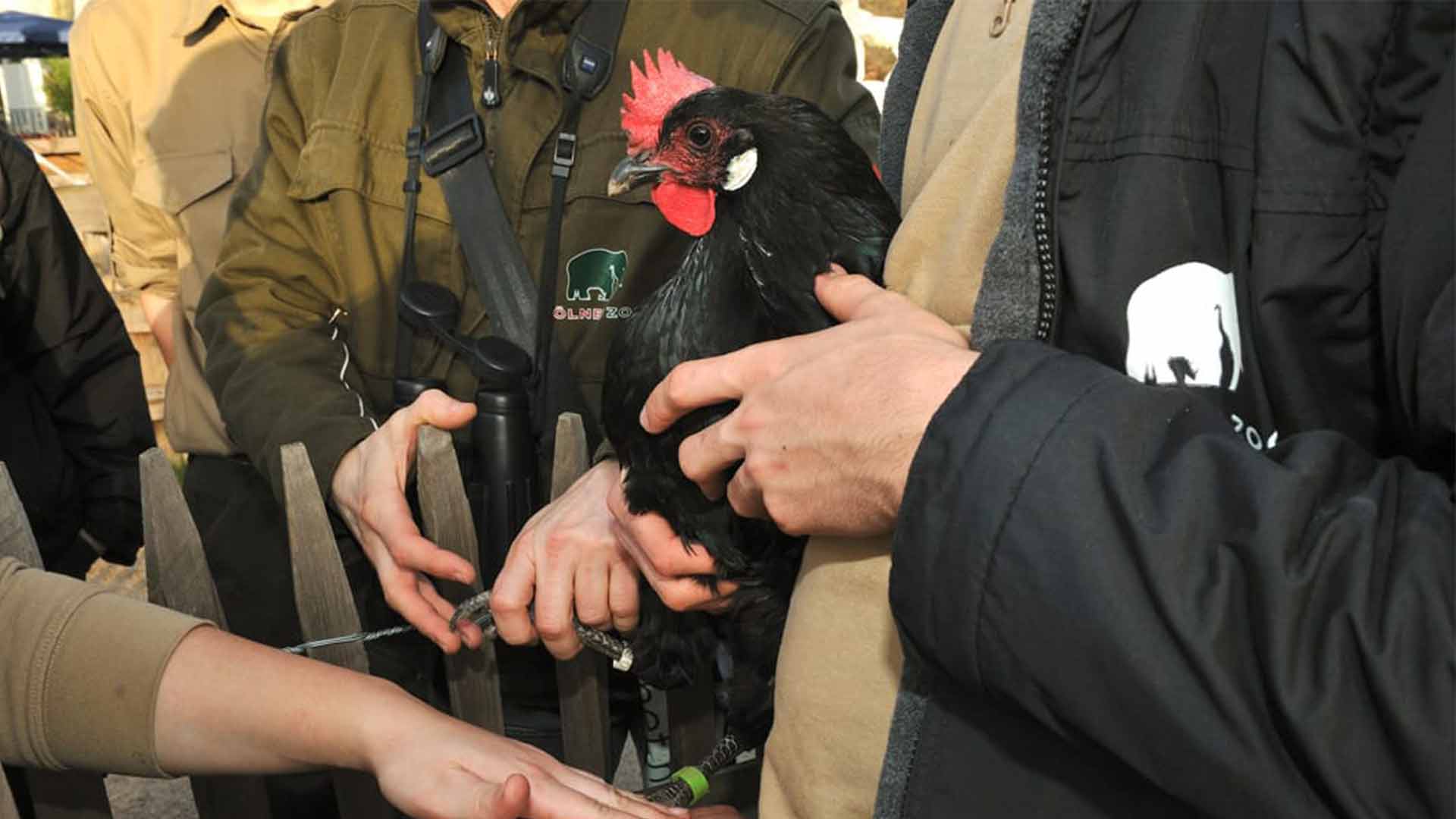 Die Stiftung unterstützen