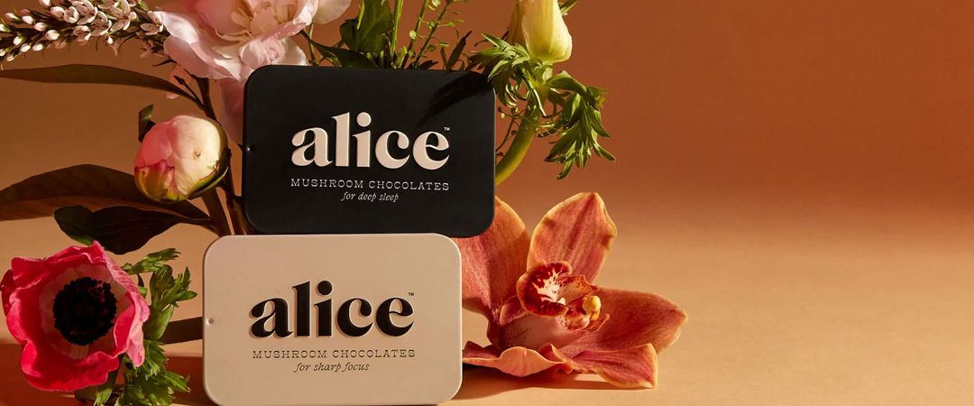 Shroomboom - Forage The Future