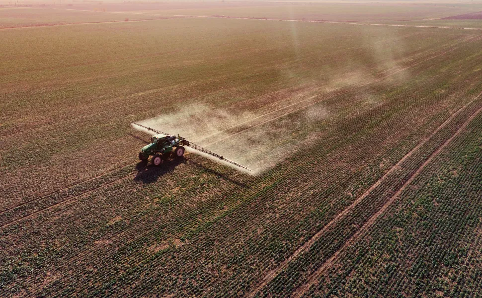Vegan Diet: The Negative Impacts on The Environment