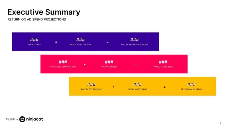 Executive Summary Report Example | Executive Report Template
