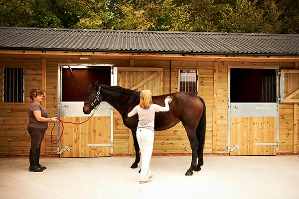 The Best Stable Design Features | Chart Stables