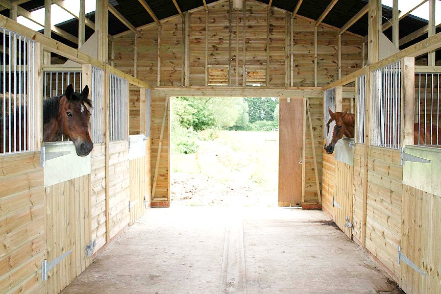 American Barns | American Barns For Sale