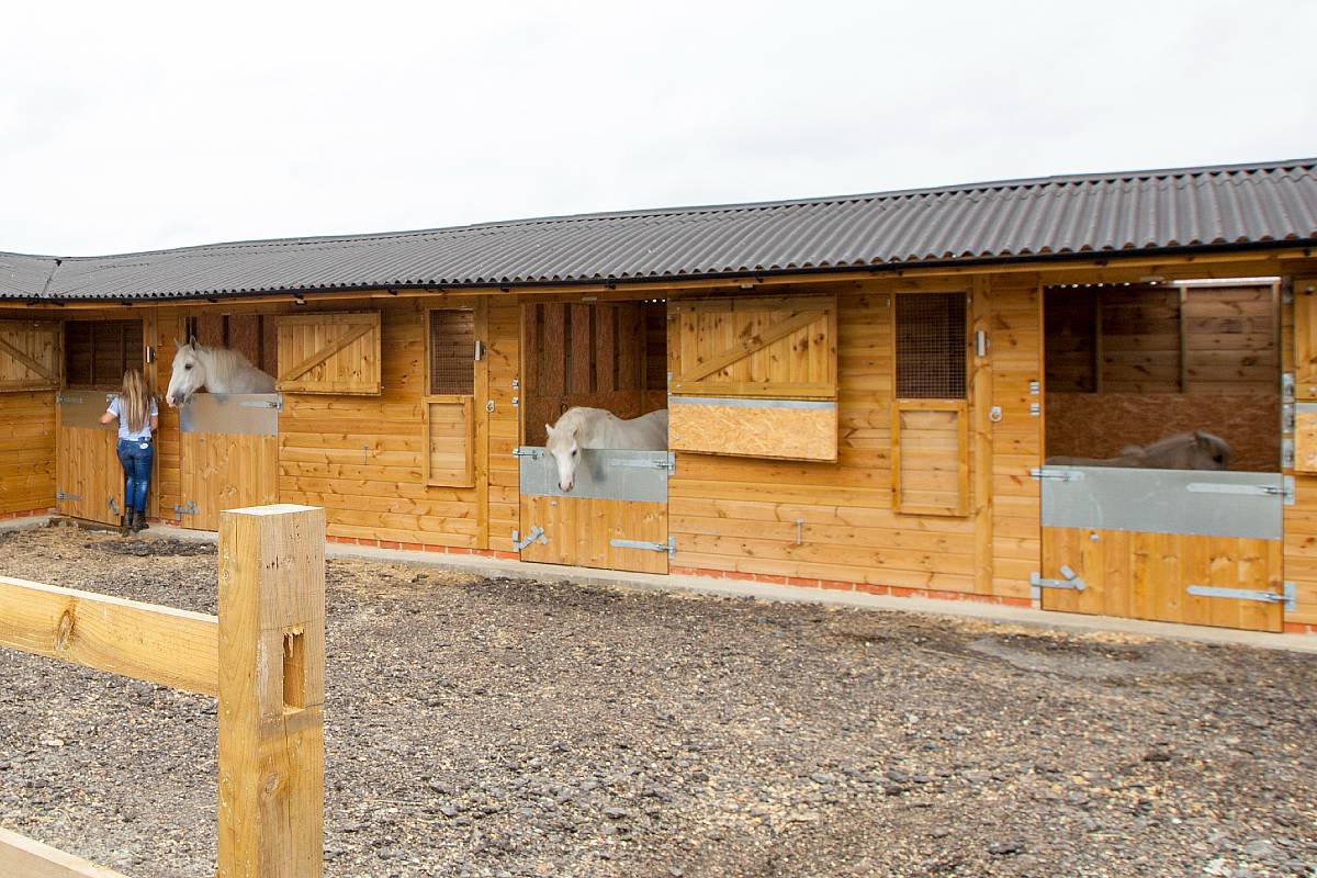Pony Stable Doors | Chart Stables