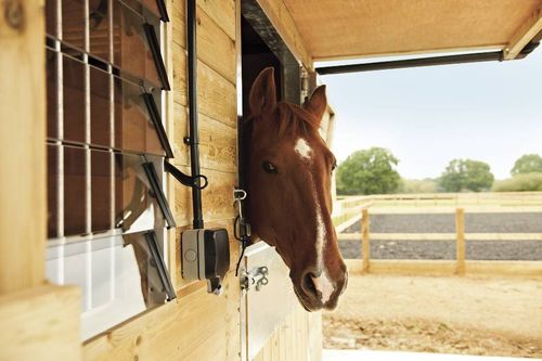 Chart Stables | Wooden Stables For Horses