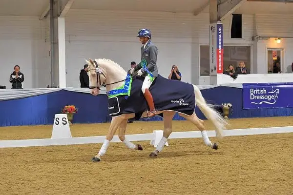 Do I need planning permission to build stables? | Chart Stables