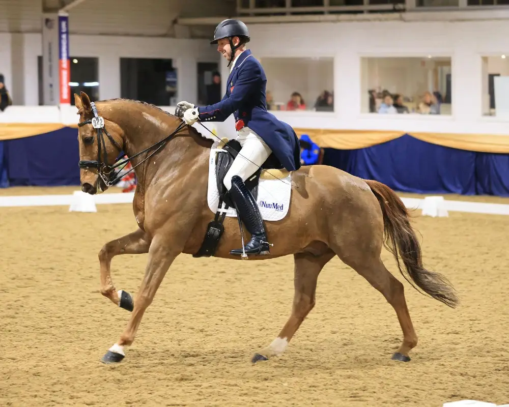 Chart Stables Sponsors British Dressage South and East | Chart Stables