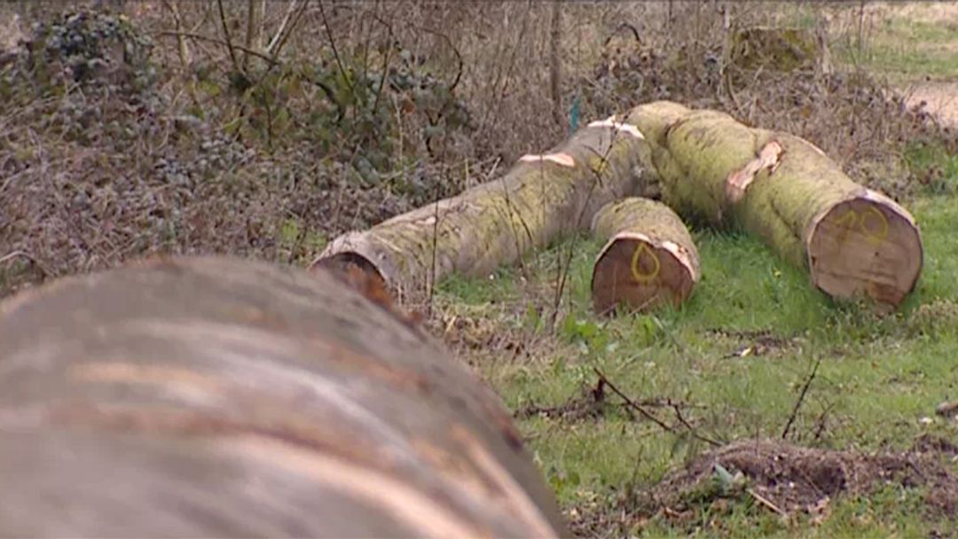 Videos | Davis Furniture