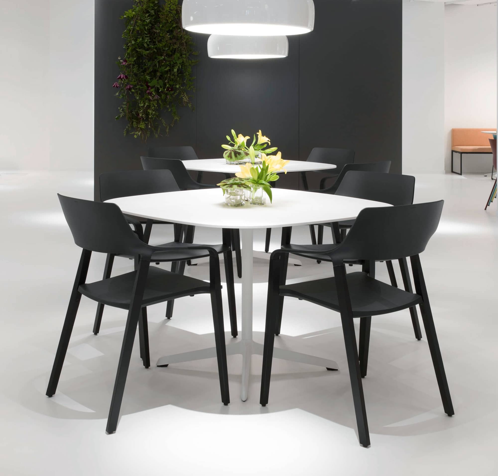 Reed | Davis Furniture