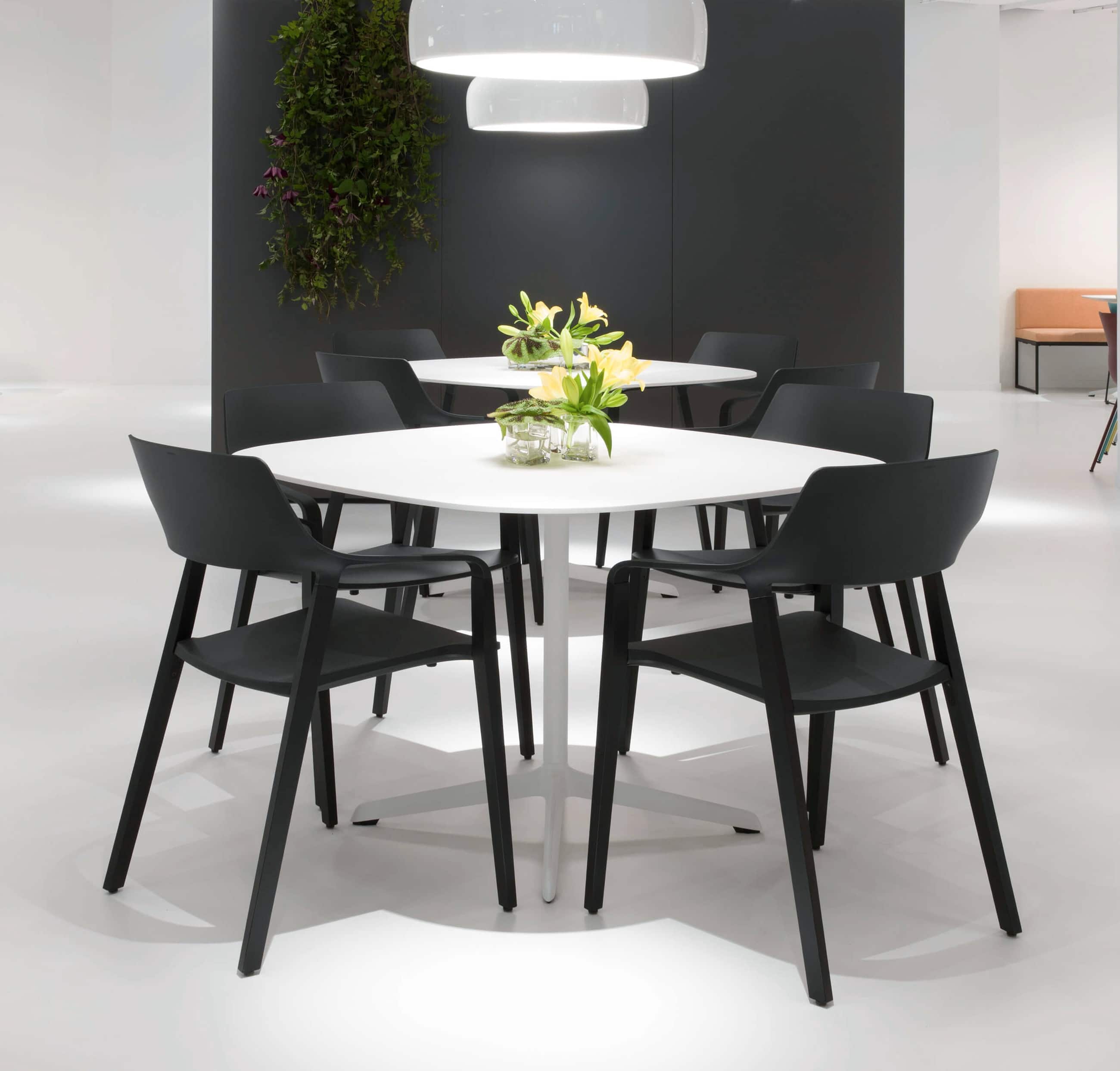 Reed | Davis Furniture