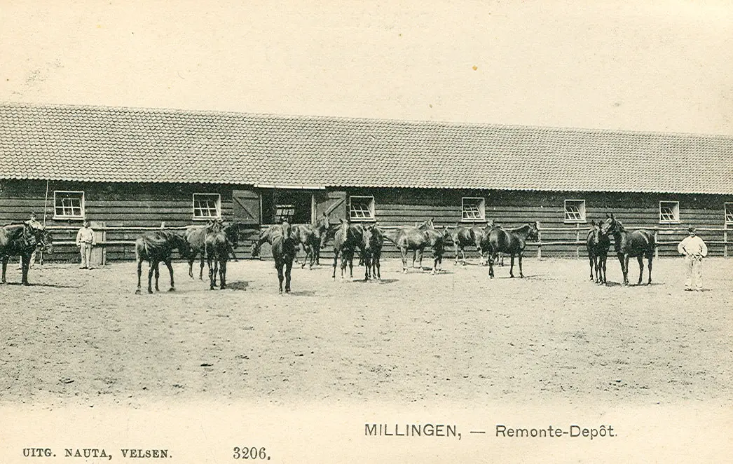 Oprichting Kamp Nieuw-Milligen