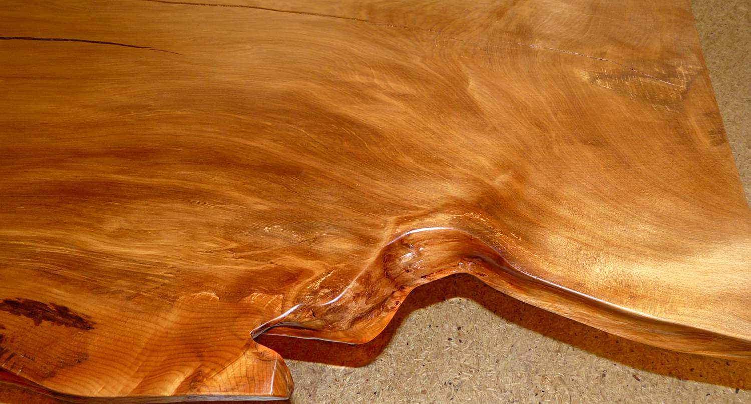 Living room tables and tree trunk tables made from historic swamp wood