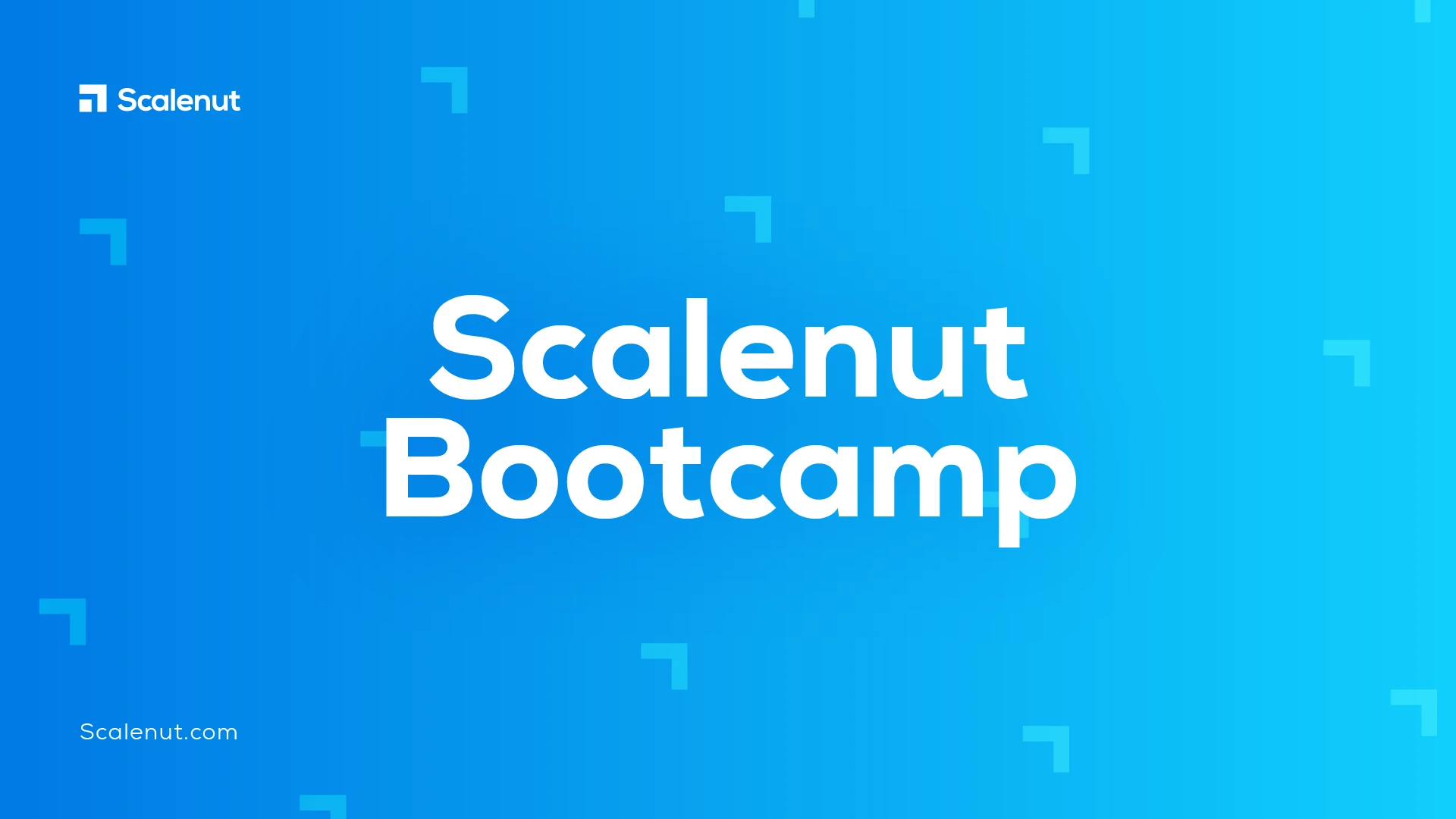 Introduction to Scalenut