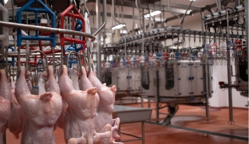 Evisceration - BAADER Poultry