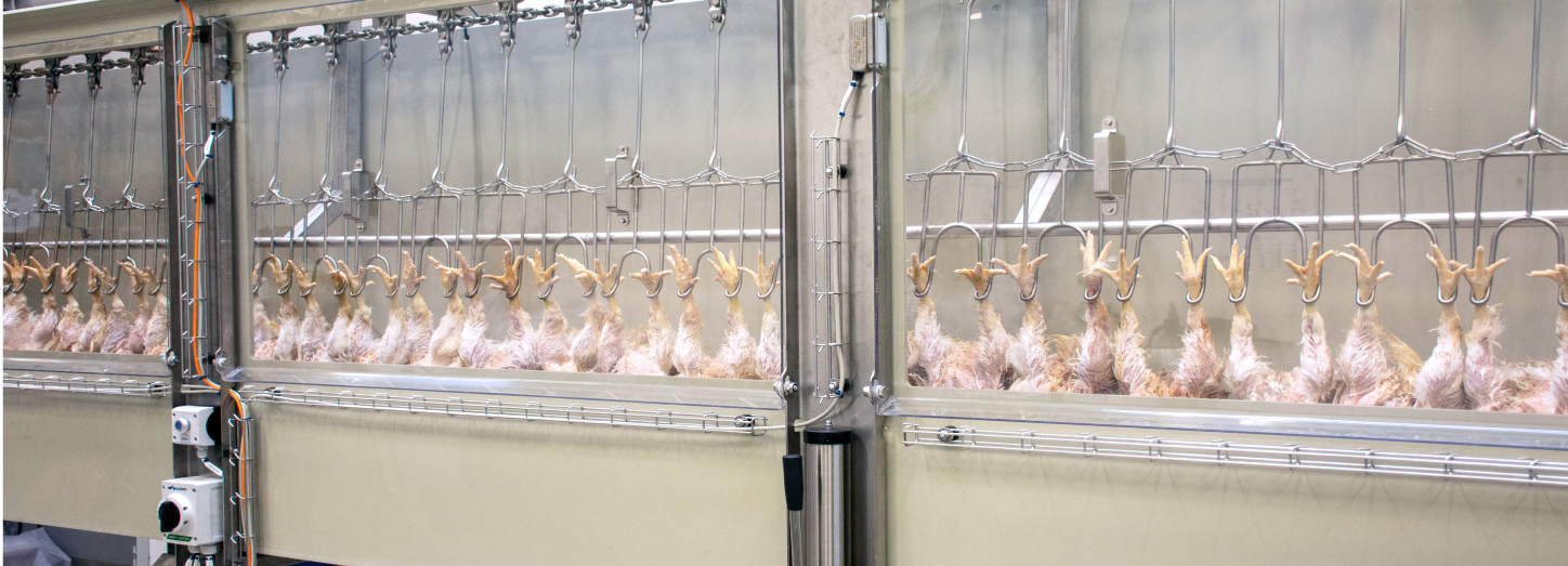 Water Stunner 032 - BAADER Poultry