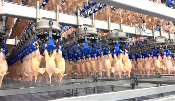 Multi-Tier Air Chilling - BAADER Poultry