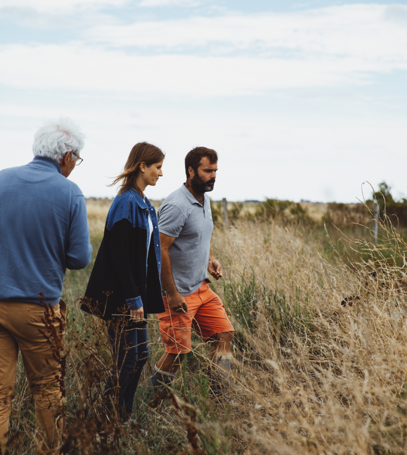 Anaë Gin | Gin français d'exception aux baies sauvages de l'île de Ré