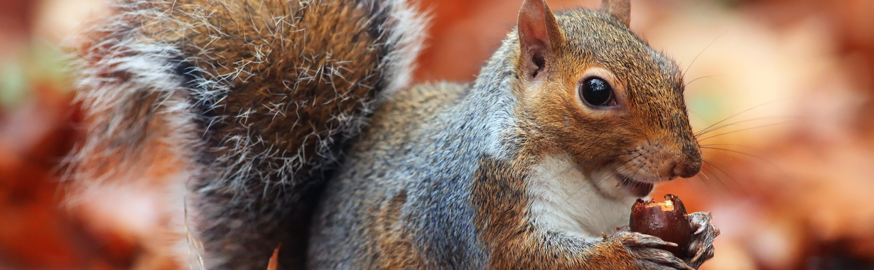 29 Cases of Shocking and Strange Spoliation