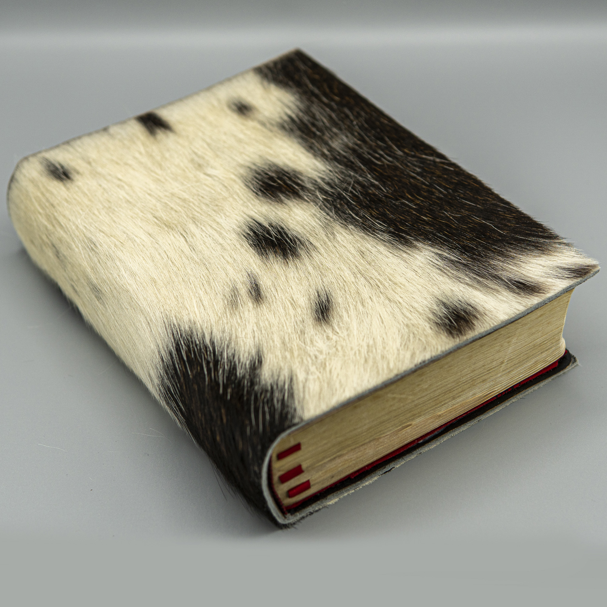 Phoenix Book Restoration