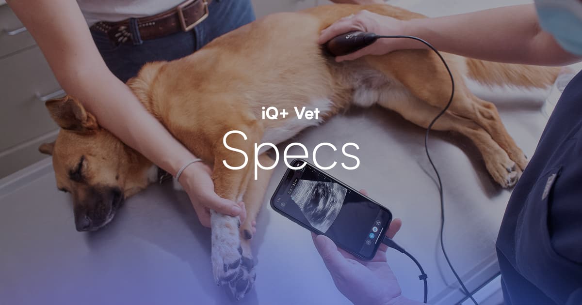 Specs - Butterfly iQ+ Vet