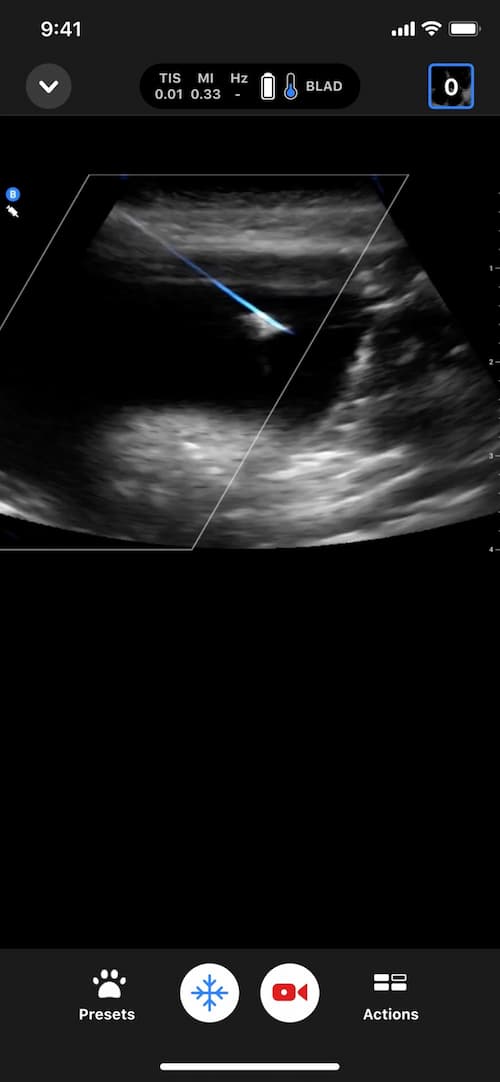 Best Veterinary portable ultrasound for any animal | iQ+ Vet