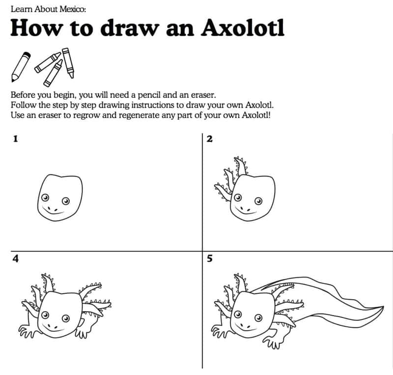 Encantos - The Storyteaching Platform